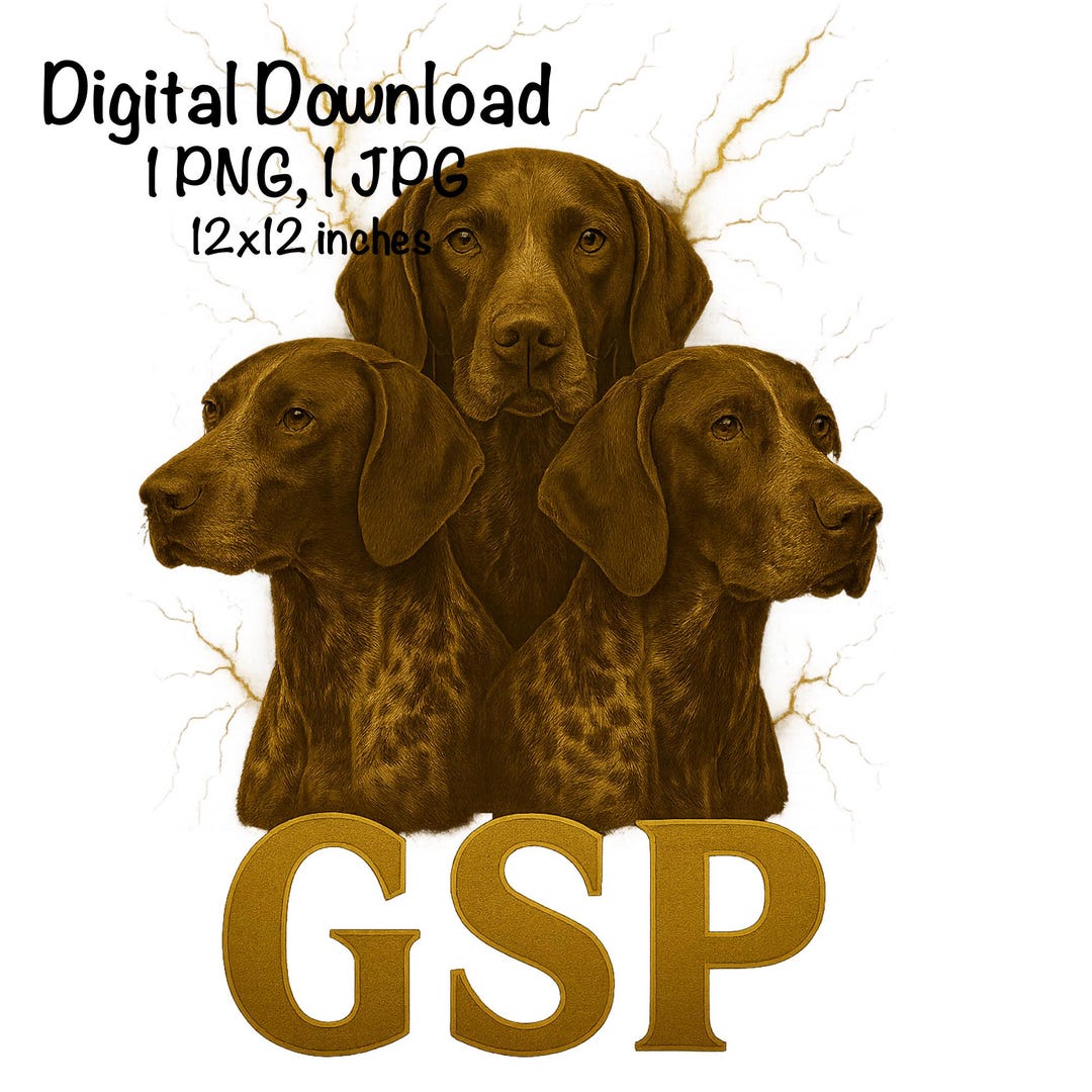GSP Dog PNG, Duck Hunting Dog PNG, Commercial Use, Lightning Pointer ...
