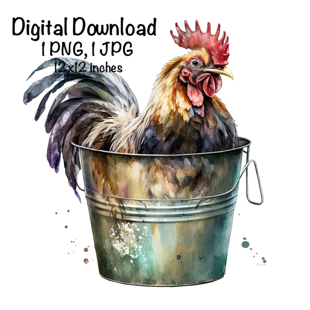 Rooster in a Bucket Watercolor Clipart Cute Rooster & Bucket Farm ...
