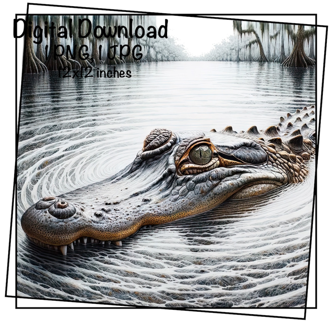 Alligator on the Bayou Watercolor Swamp Boys Girls Clipart Wall Art ...