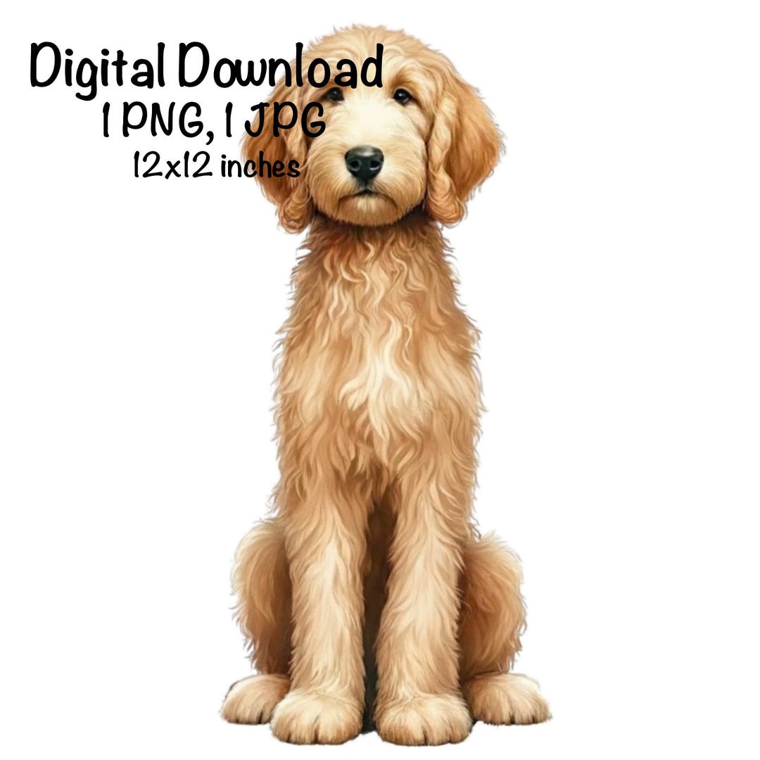Goldendoodle Puppy PNG, Cute Doodle Dog Sublimation, Golden Doodle Dog ...