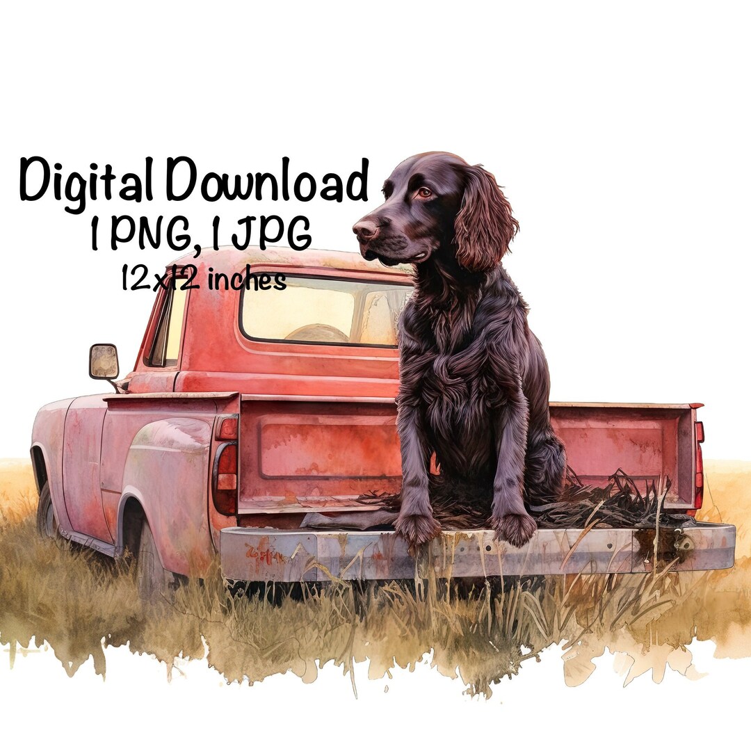 Boykin Spaniel Dog Red Truck Watercolor Clipart Cute Boykin Dog Truck ...