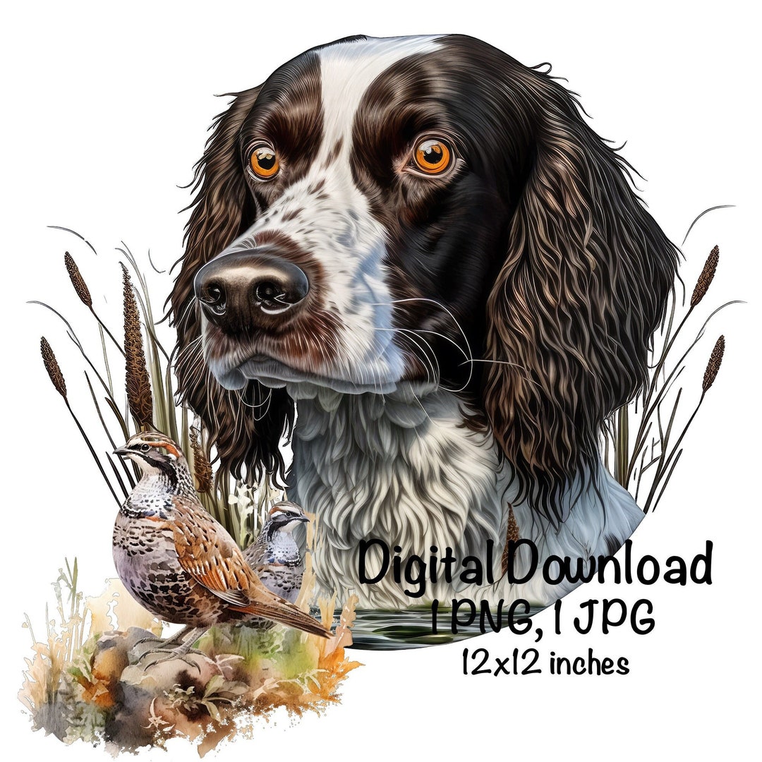 Bird Hunting Dog PNG Clipart English Springer Spaniel PNG Commercial ...