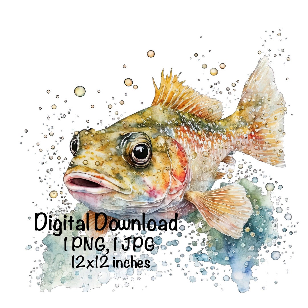 Bass Fish Watercolor Saltwater Fish Clipart Bass Fish Swimming PNG ...