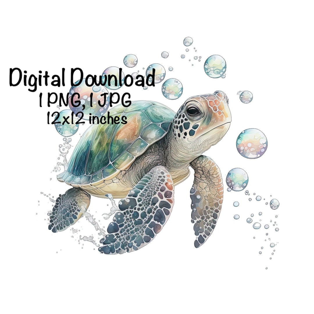 Sea Turtle Sea Turtle Watercolor Clipart Ocean Animals Sea - Etsy
