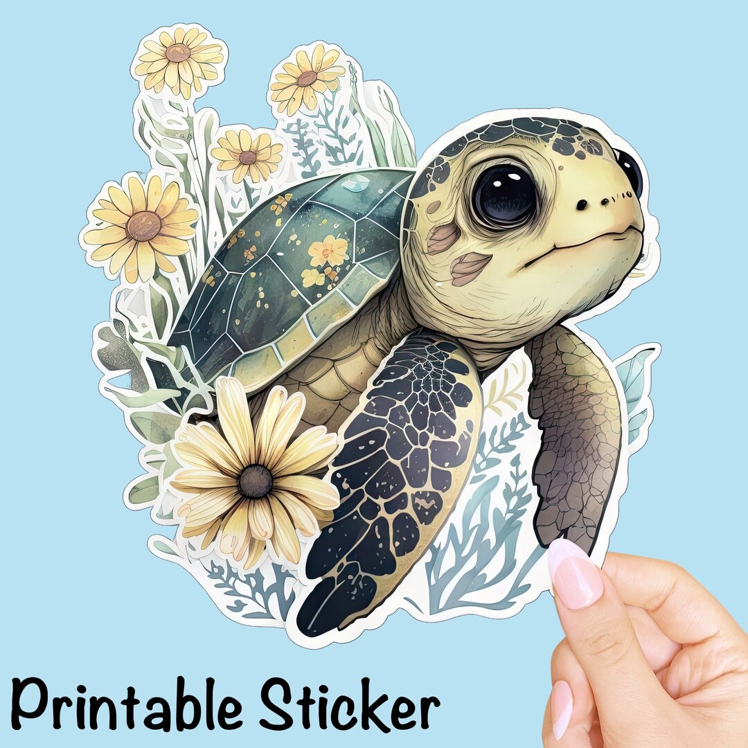Cute Turtles Tumblr
