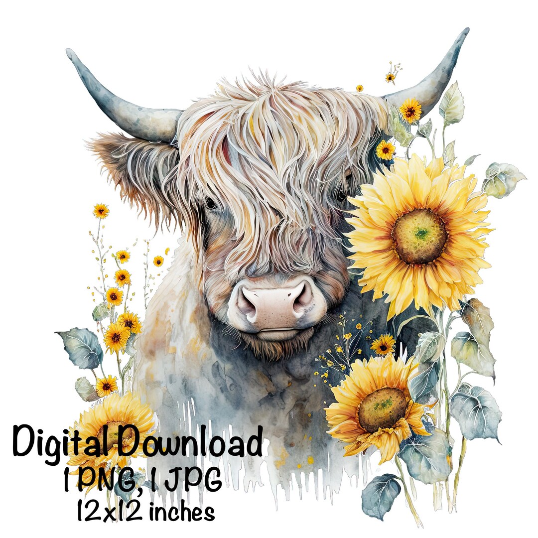 Highland Cow Watercolor Clipart Highland Cow Sunflowers PNG Commercial ...