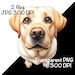 Labrador Dog PNG Yellow Labrador Retriever Sublimation Cute Lab Dog ...