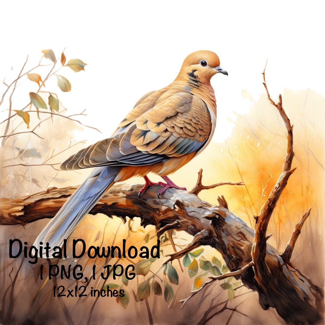 Dove PNG Wild Dove Sublimation PNG Dove Hunting Sublimation Commercial ...