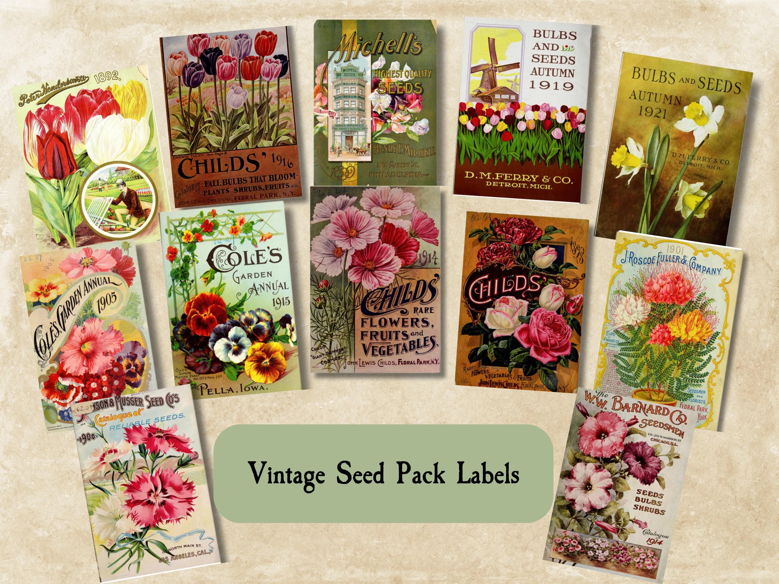 Vintage Flower Seed Packet Labels Sticker Set, Vintage Seed Packs ...