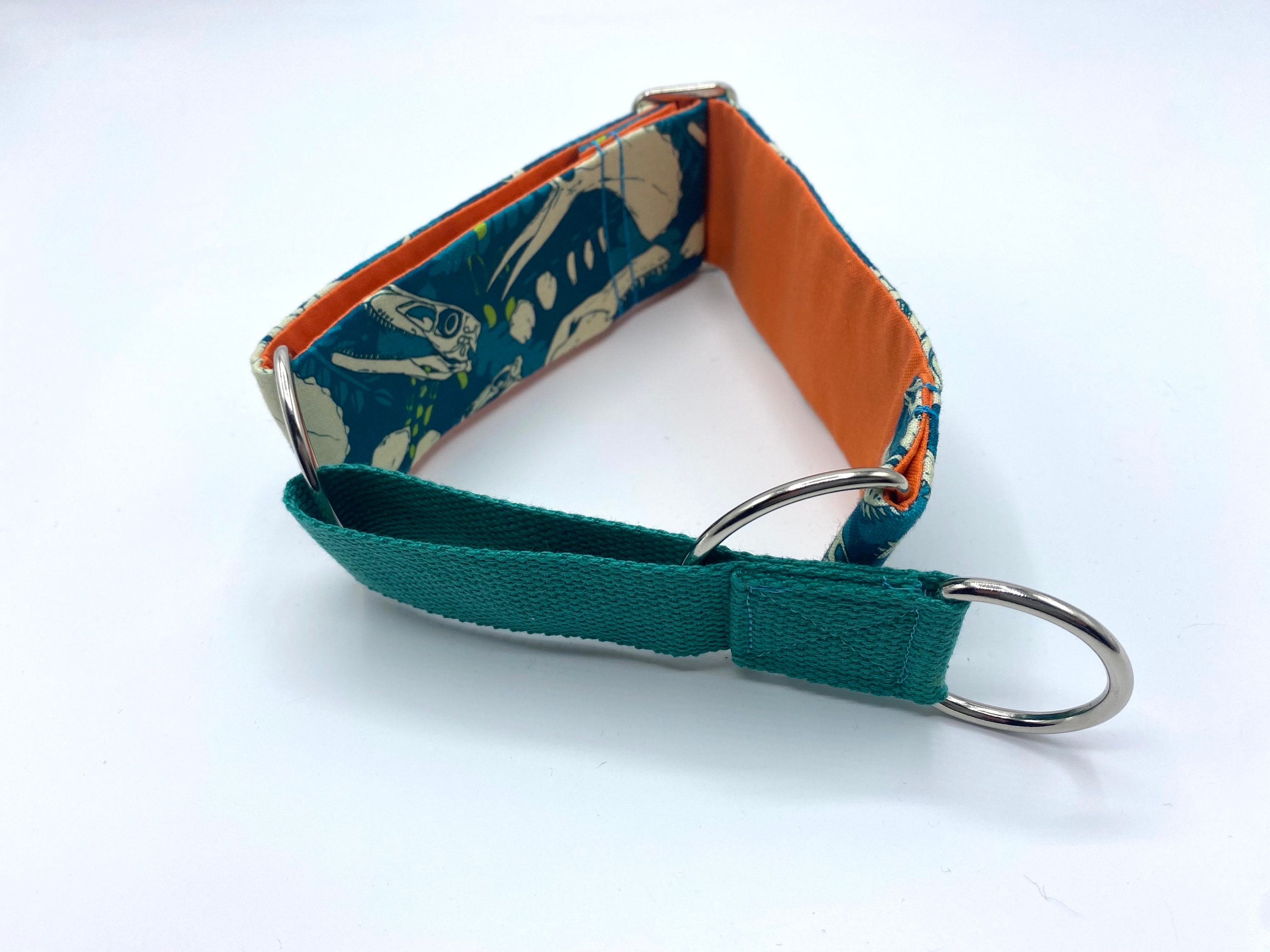 2 Inch Dog Martingale Sighthound Dog Collar Dinosaur Skull Design - Etsy