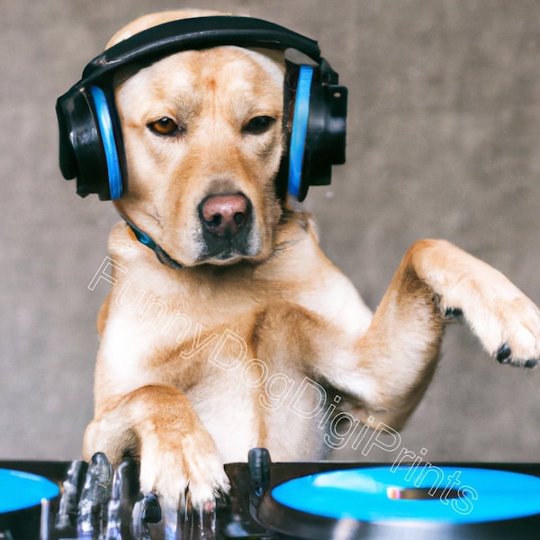 Dj Dog - Etsy