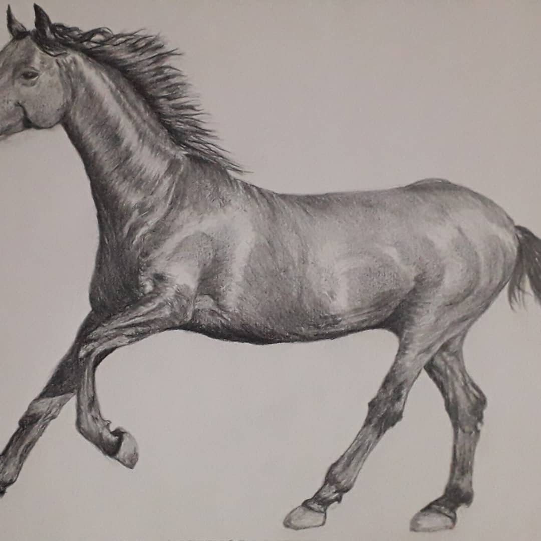 Running Horse Sketch on A4 Paper - Etsy