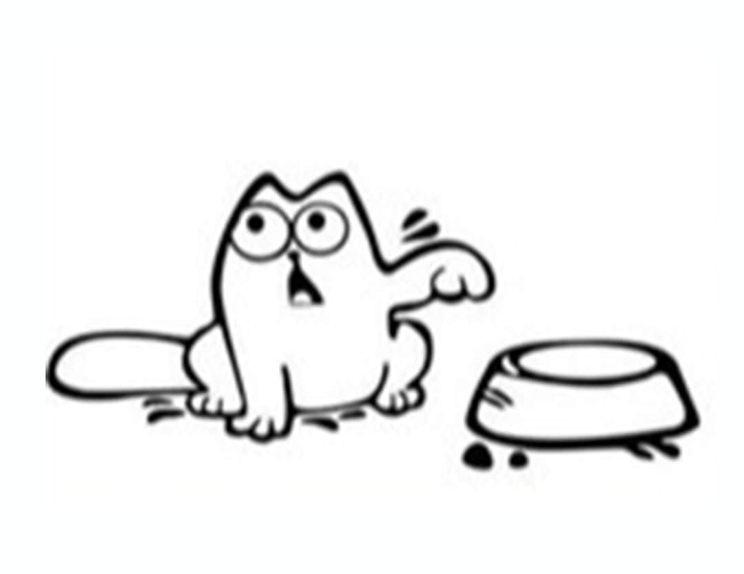 Cat Feed Me Decal Sticker Car Van Window Bumper Caravan - Etsy