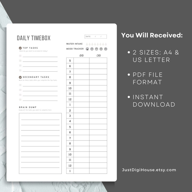 Daily Time Boxing Planner, Printable Pdfs, Annotation App Friendly Pdfs ...