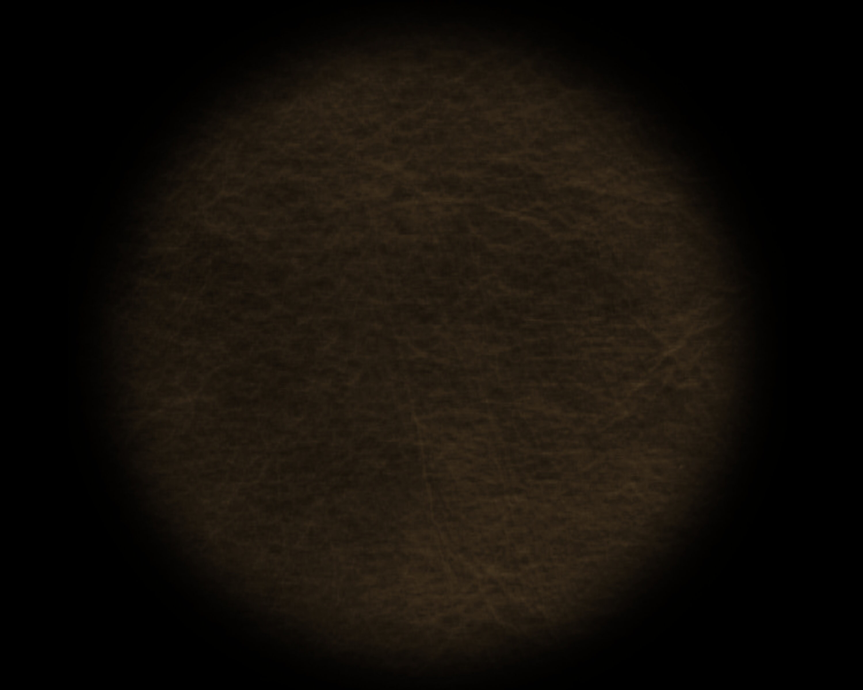 PS Skin Brushes for Photoshop Skin Texture Pores Freckles Retouching ...