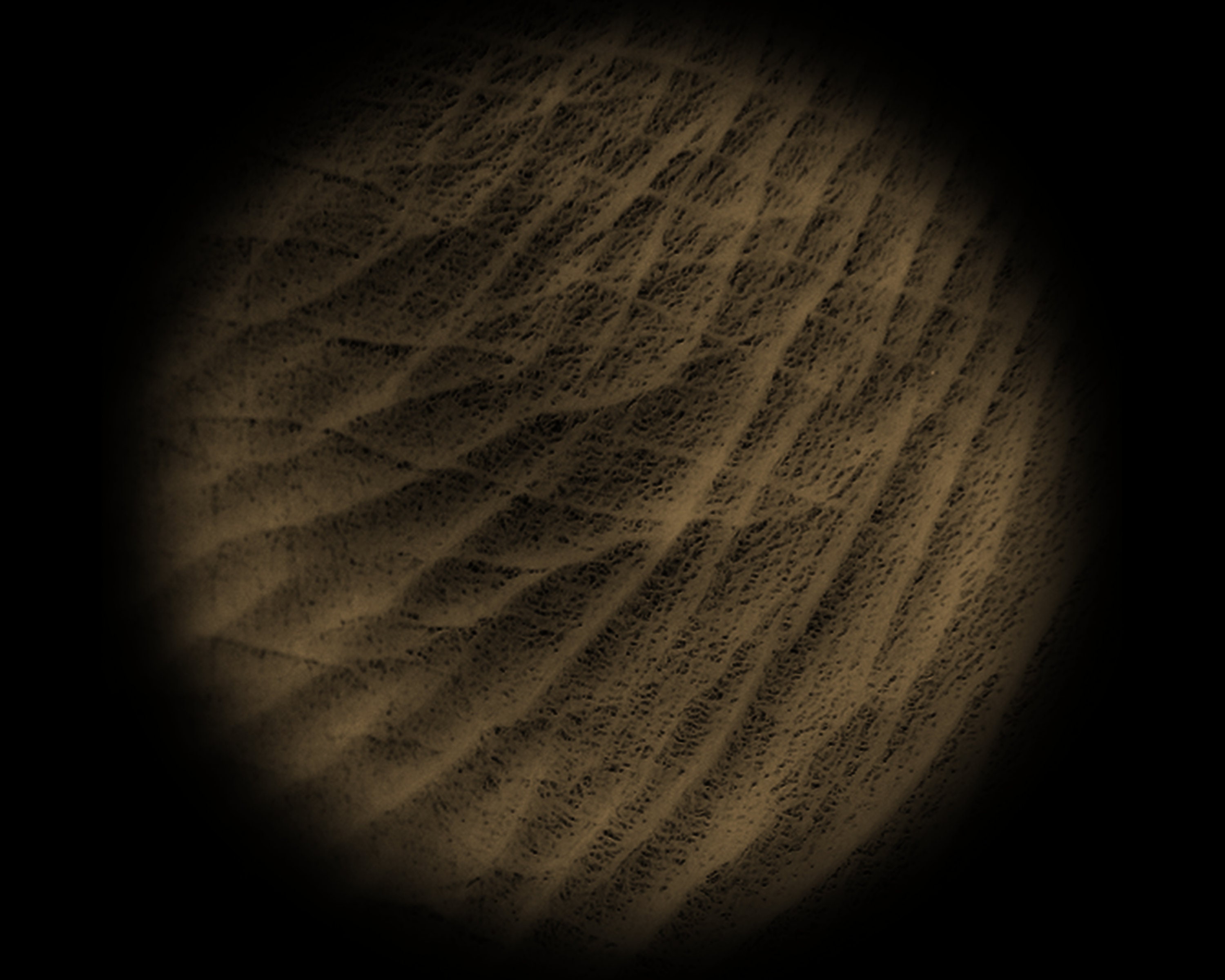 PS Skin Brushes for Photoshop Skin Texture Pores Freckles Retouching ...