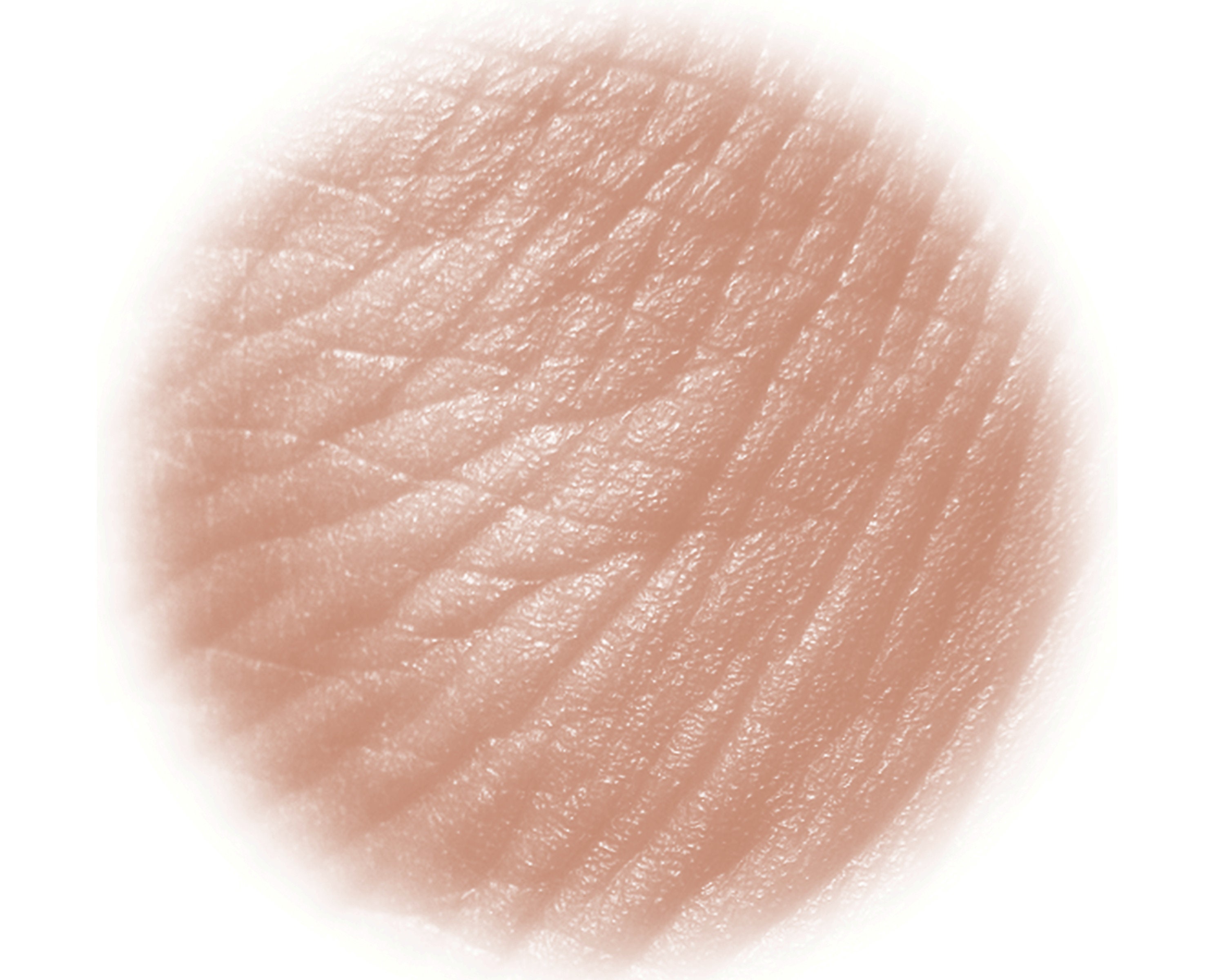 PS Skin Brushes Photoshop Digital Makeup PS Brush High Resolution GIMP ...