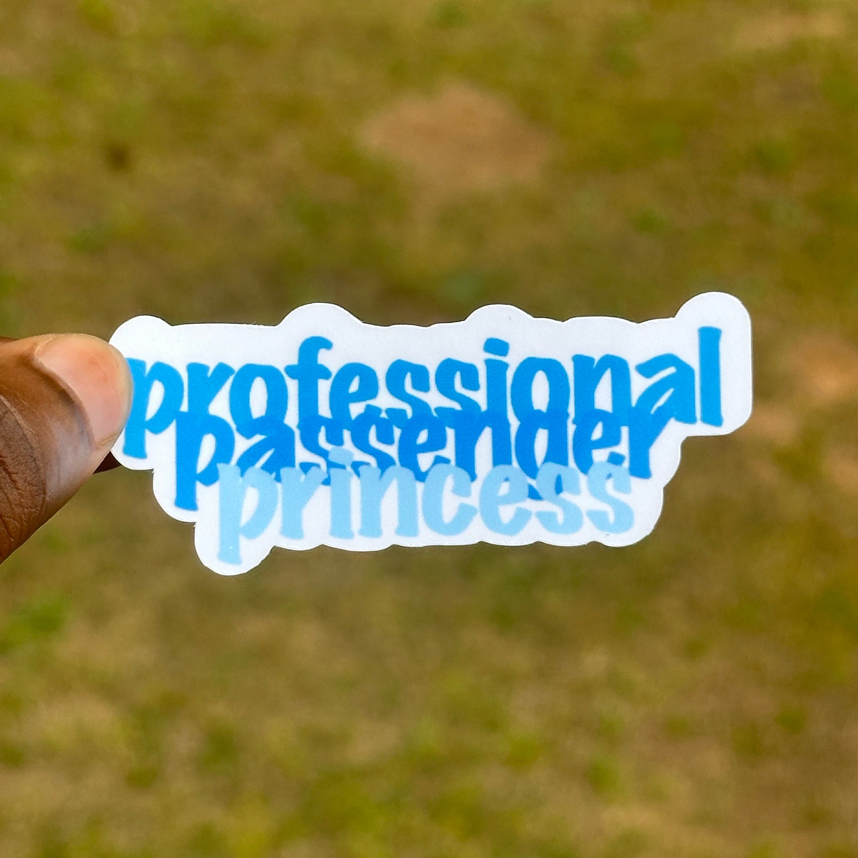 Professional Passenger Princess Sticker for Car Sticker for Water ...