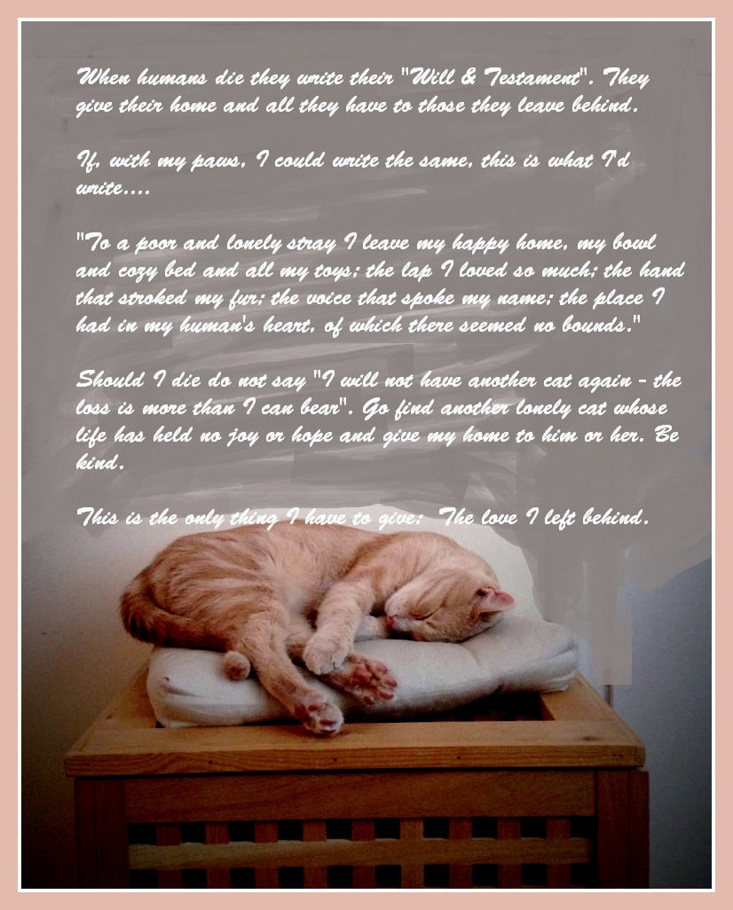 Art Print Cat's Last Will and Testament Print - Etsy
