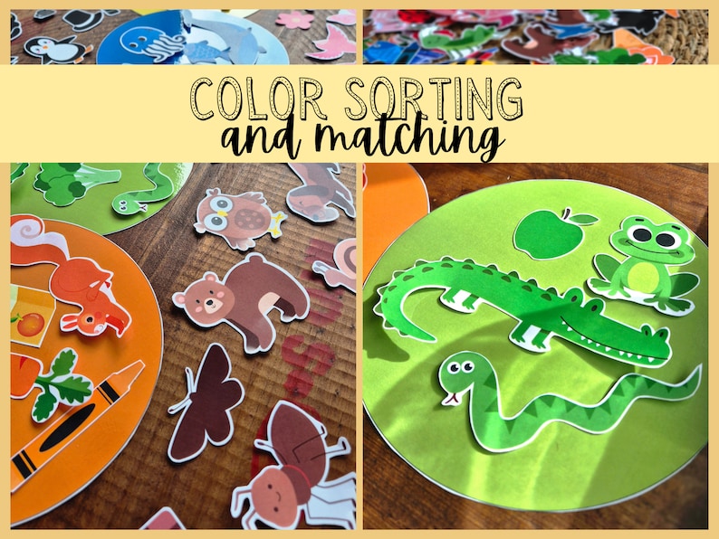 Caterpillar Color Sorting & Matching Activity: Build a Rainbow ...