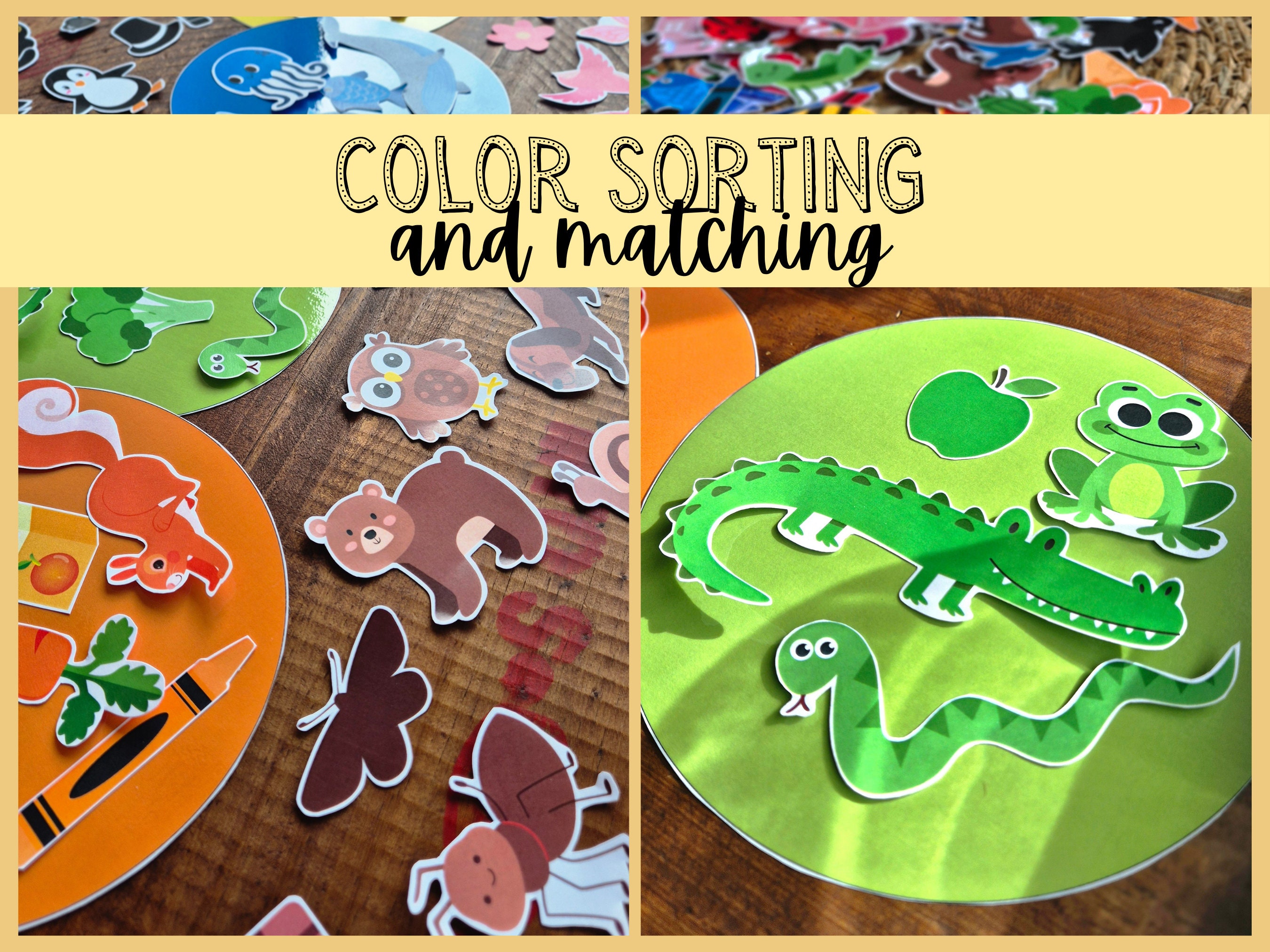 Caterpillar Color Sorting & Matching Activity: Build a Rainbow ...