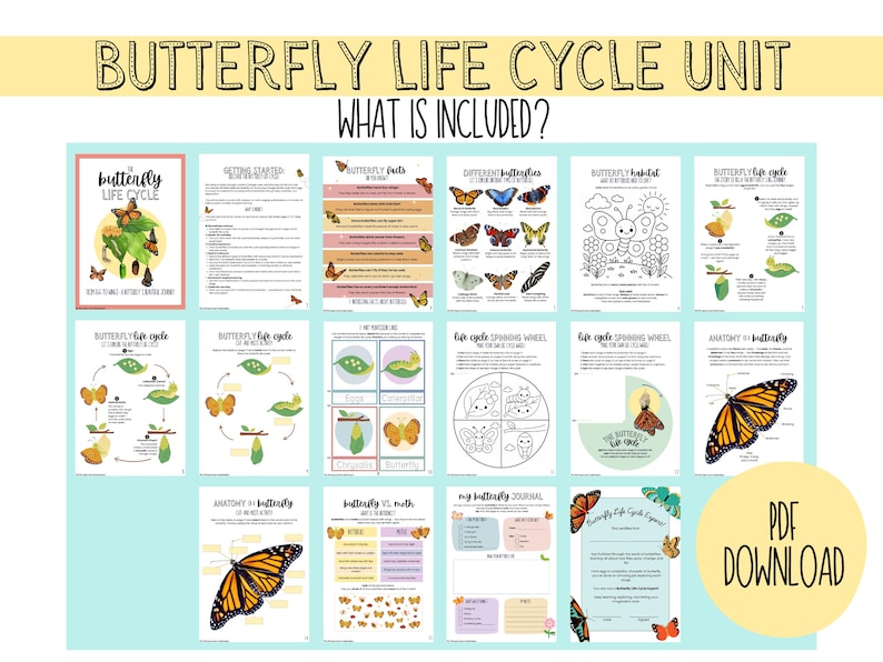Butterfly Life Cycle Activity Pack: Flashcards, Anatomy, Observation ...