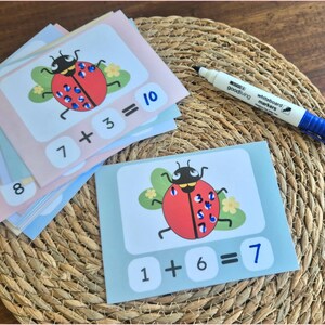Addition & Subtraction Task Cards: Ladybug Math Center Activity for ...