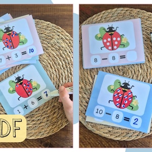 Addition & Subtraction Task Cards: Ladybug Math Center Activity for ...