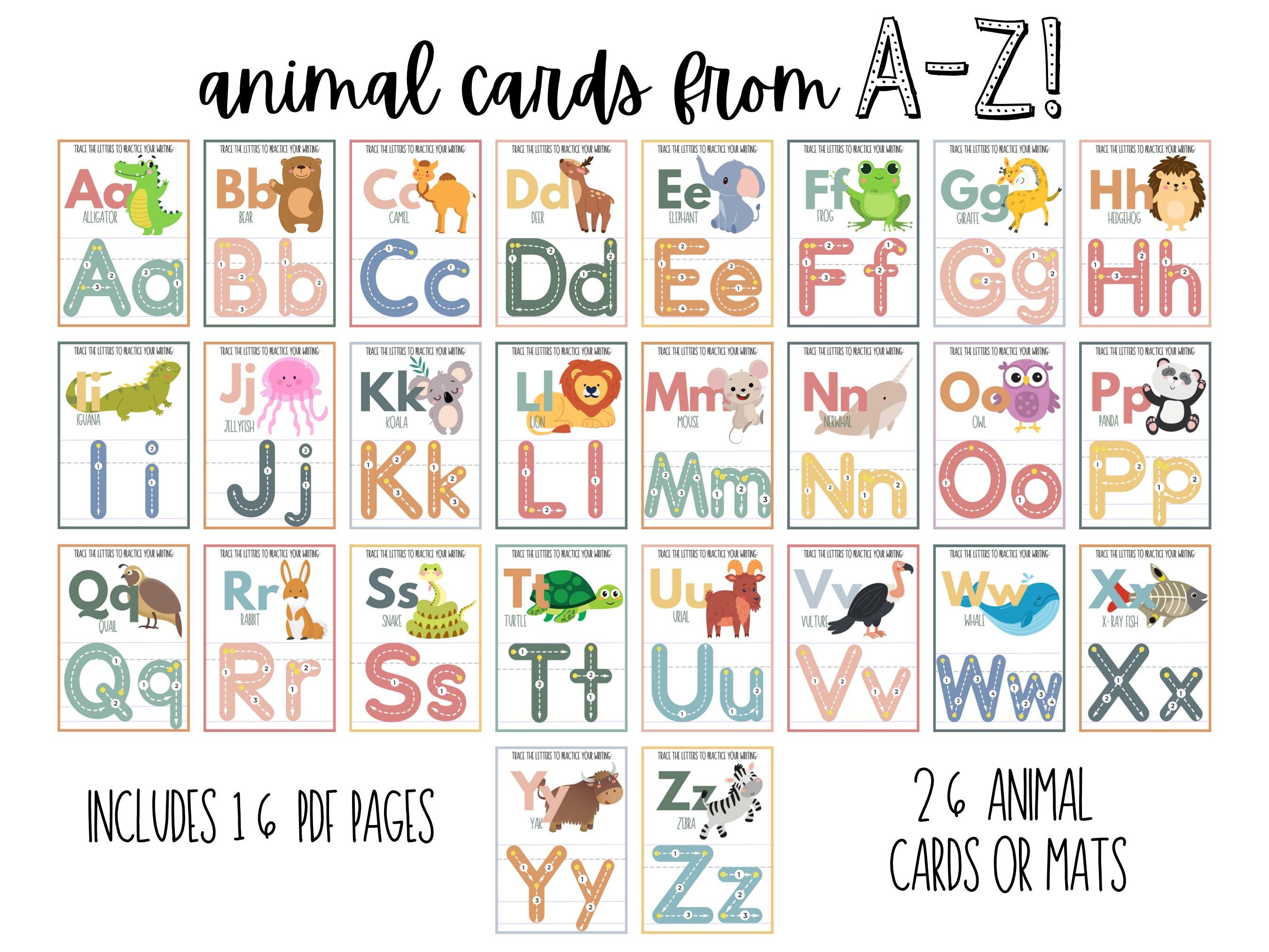 Alphabet Tracing Cards & Playdough Mats Preschool Guided Letter ...