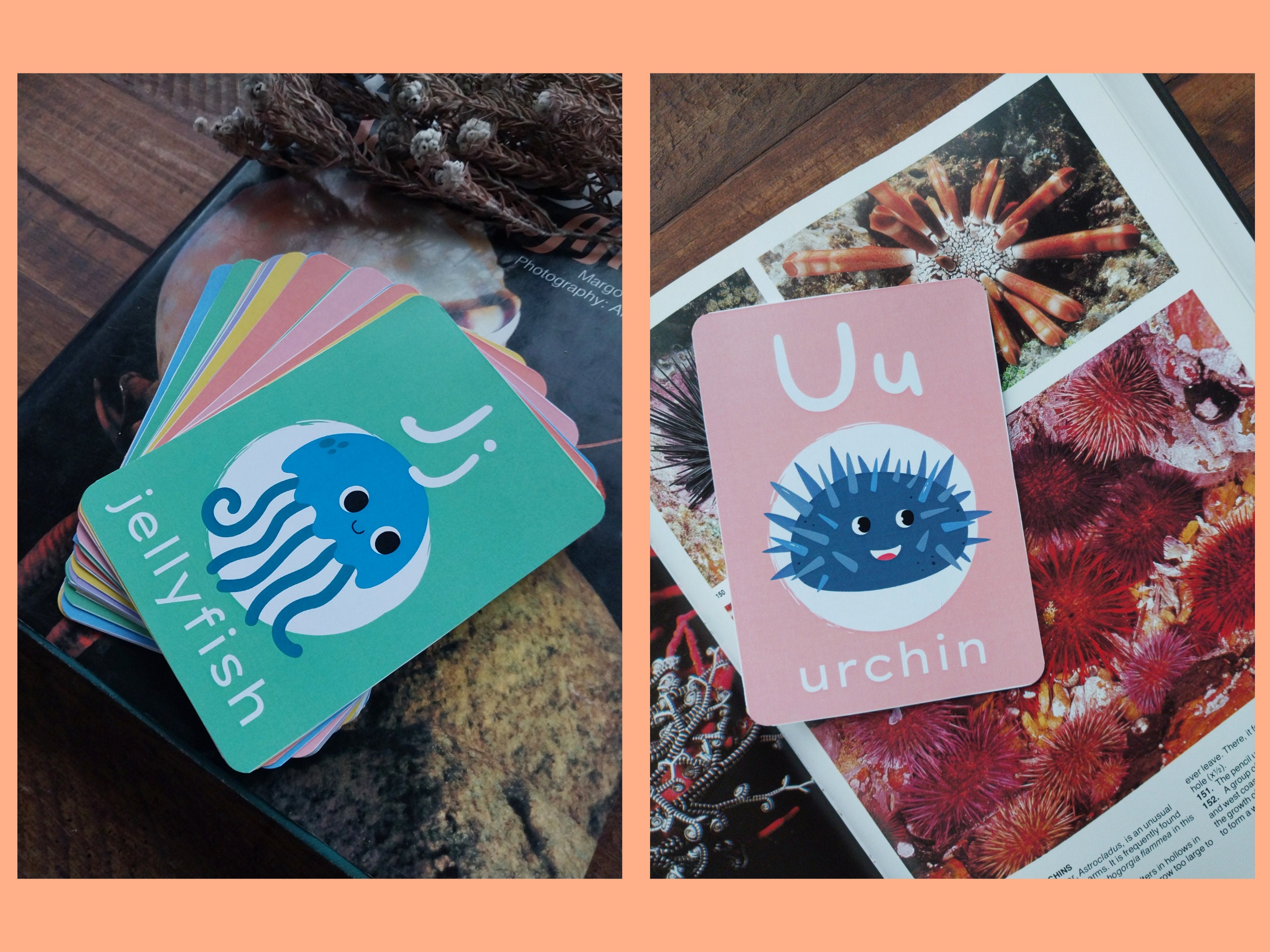 Animal Alphabet Flashcards: Fun and Bright Learning Resource for ...