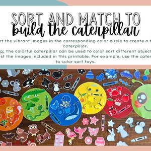 Caterpillar Color Sorting & Matching Activity: Build a Rainbow ...
