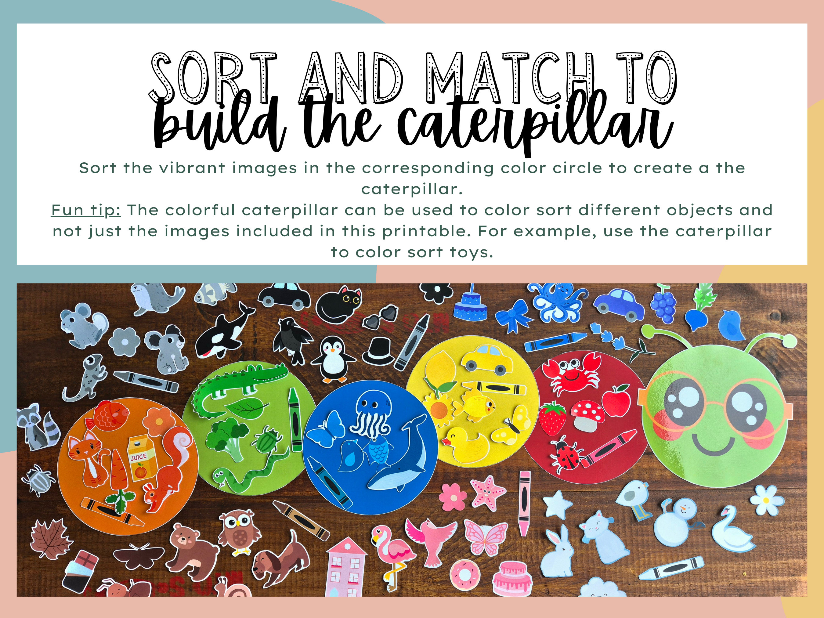 Caterpillar Color Sorting & Matching Activity: Build a Rainbow ...