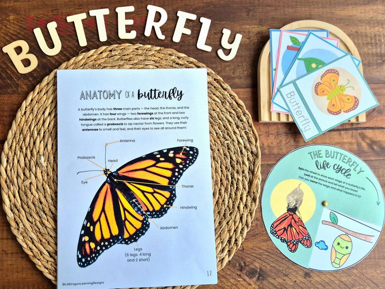 Butterfly Life Cycle Activity Pack: Flashcards, Anatomy, Observation ...