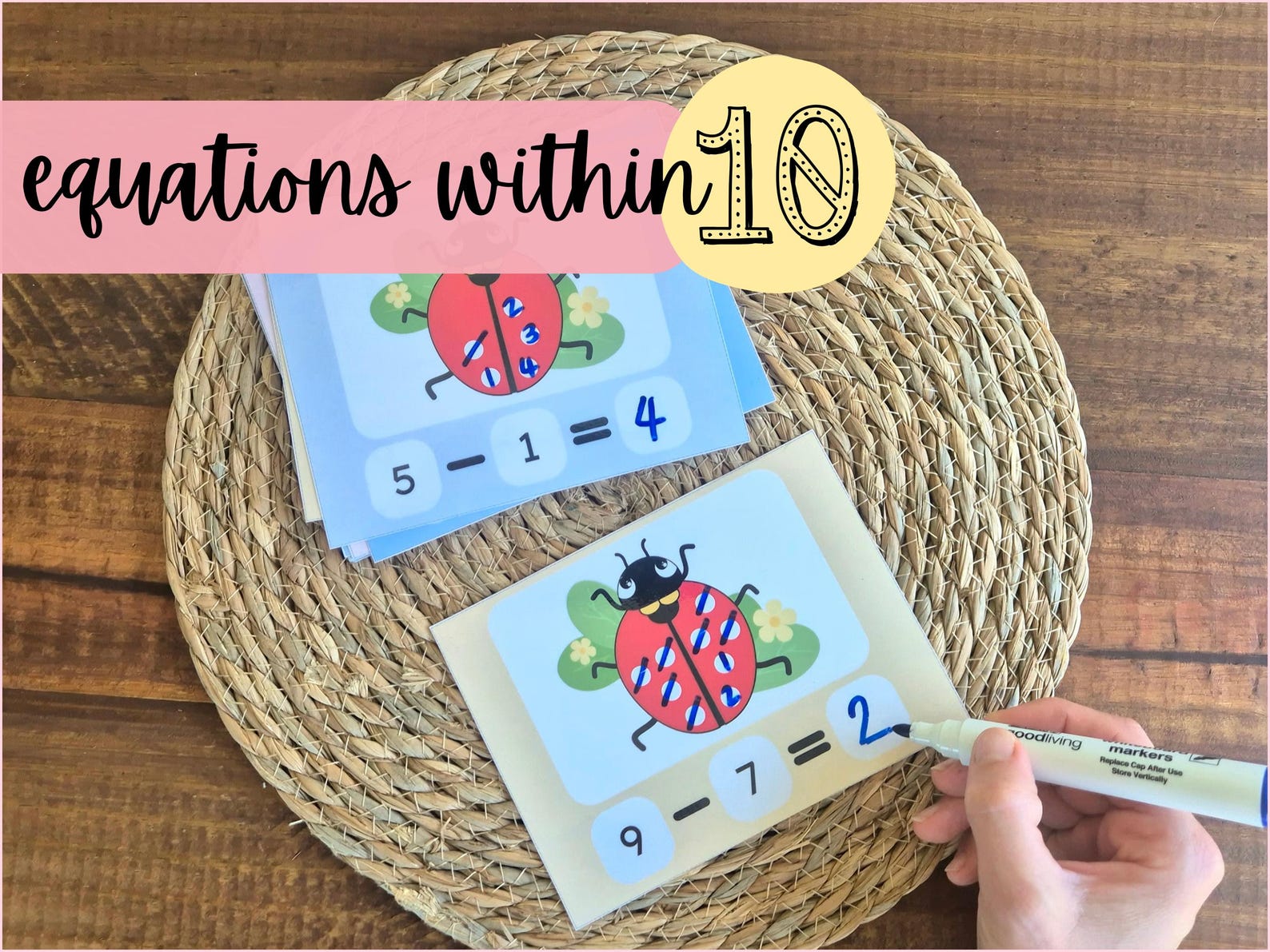 Addition & Subtraction Task Cards: Ladybug Math Center Activity for ...