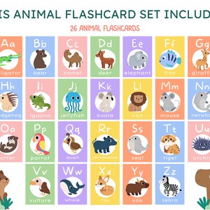 Animal Alphabet Flashcards: Fun and Bright Learning Resource for ...