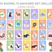 Animal Alphabet Flashcards: Fun and Bright Learning Resource for ...