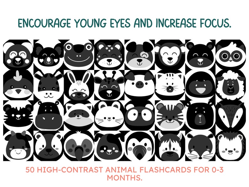 Printable High Contrast Baby Cards, Flashcards for Newborn Babies ...