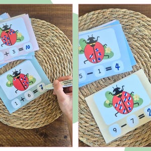 Addition & Subtraction Task Cards: Ladybug Math Center Activity for ...