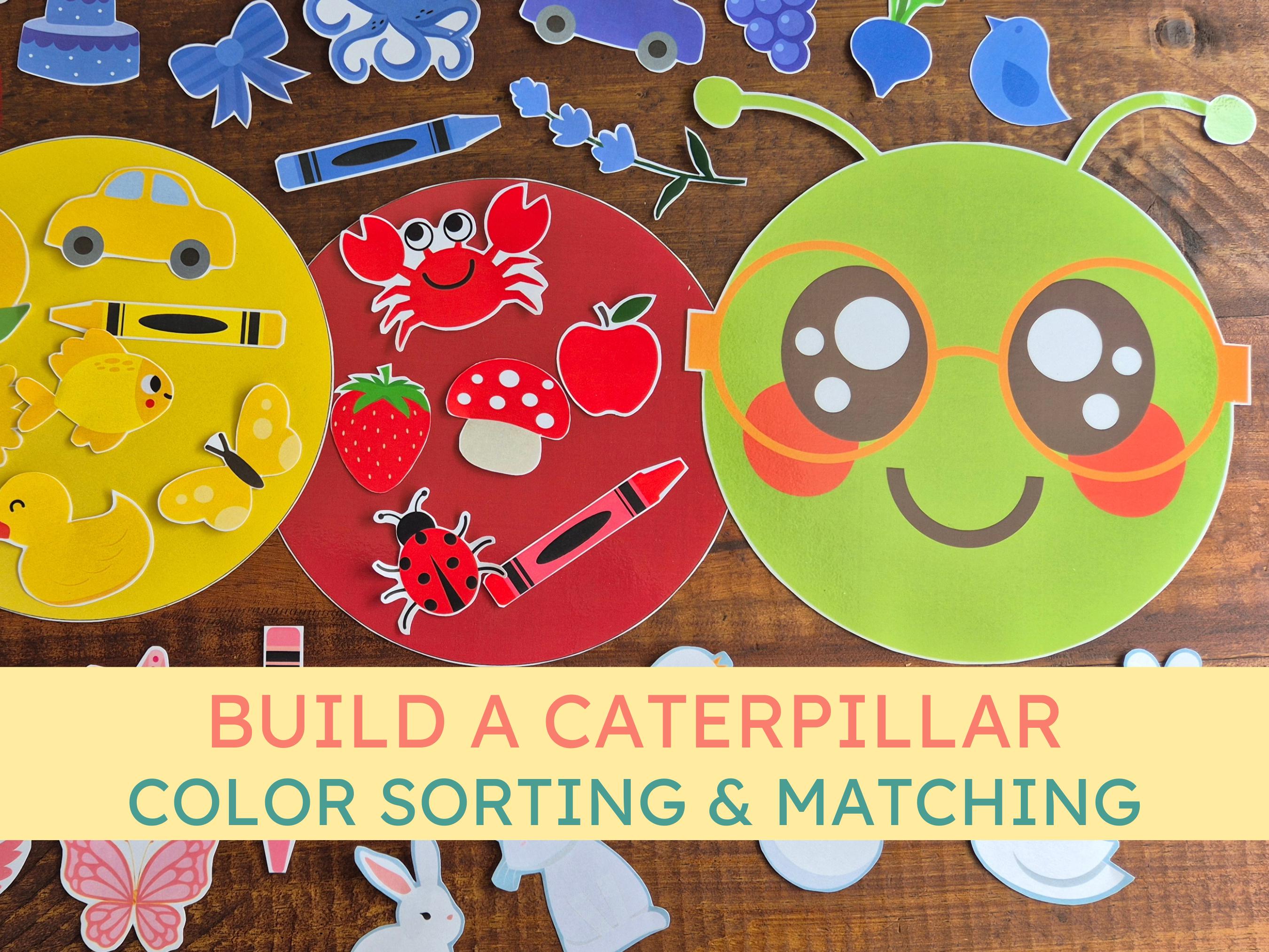 Caterpillar Color Sorting & Matching Activity: Build a Rainbow ...