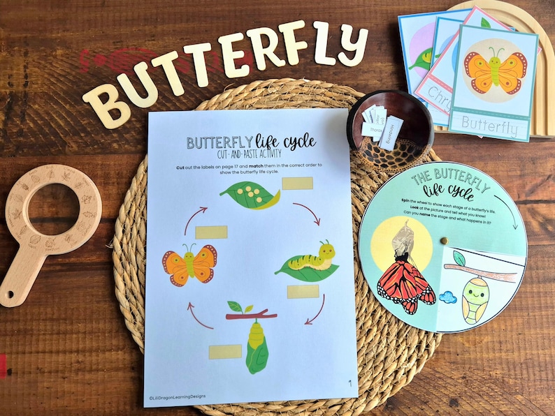Butterfly Life Cycle Activity Pack: Flashcards, Anatomy, Observation ...