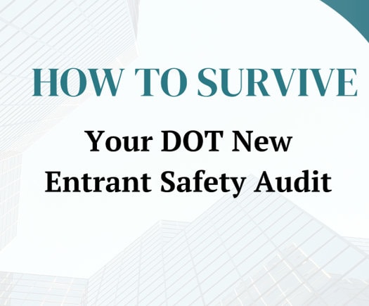 How to Survive Your DOT New Entrant Safety Audit E-book - Etsy