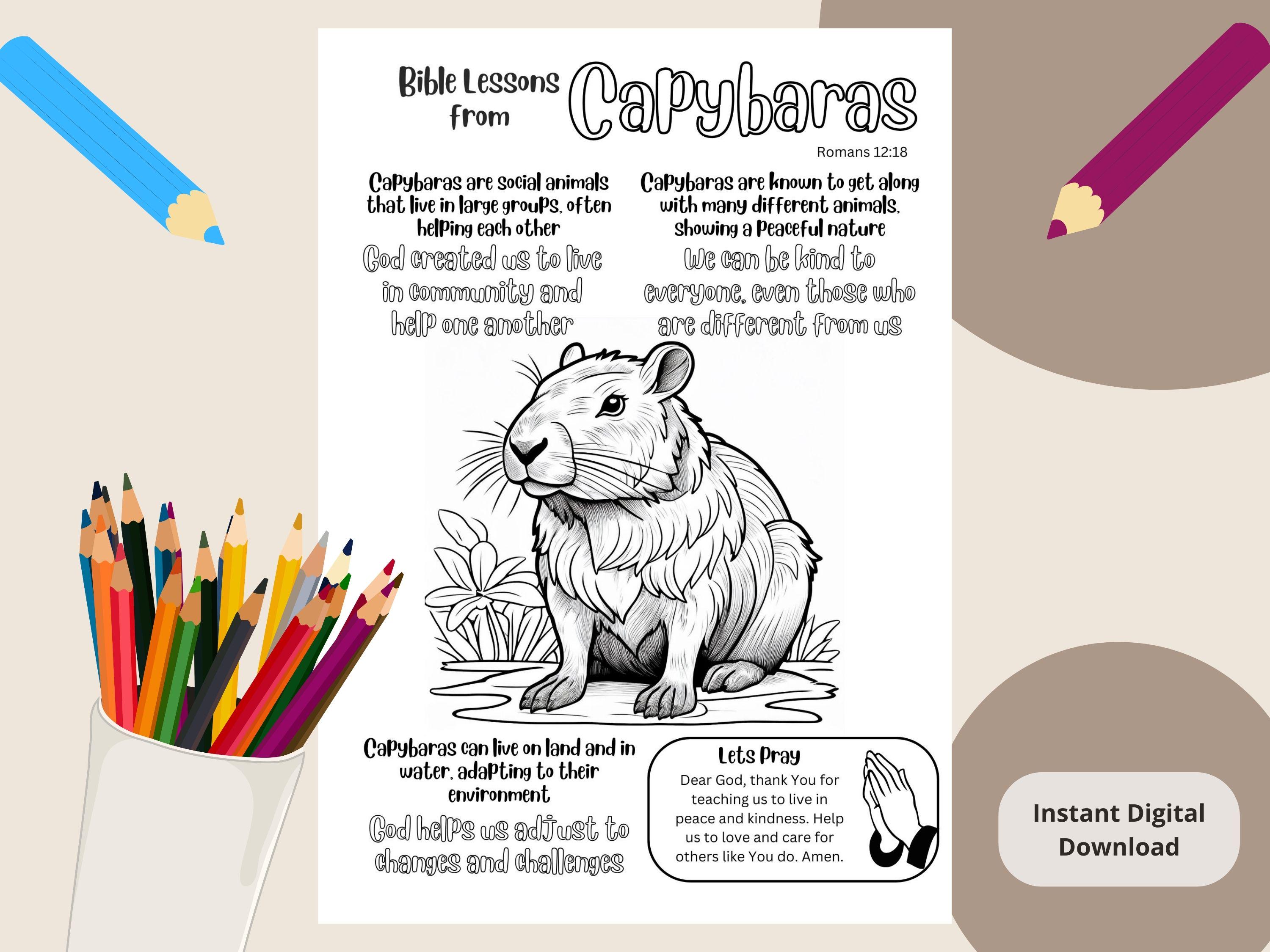 Capybaras Christian Bible Colouring Activity Sheets, Creative Sunday ...
