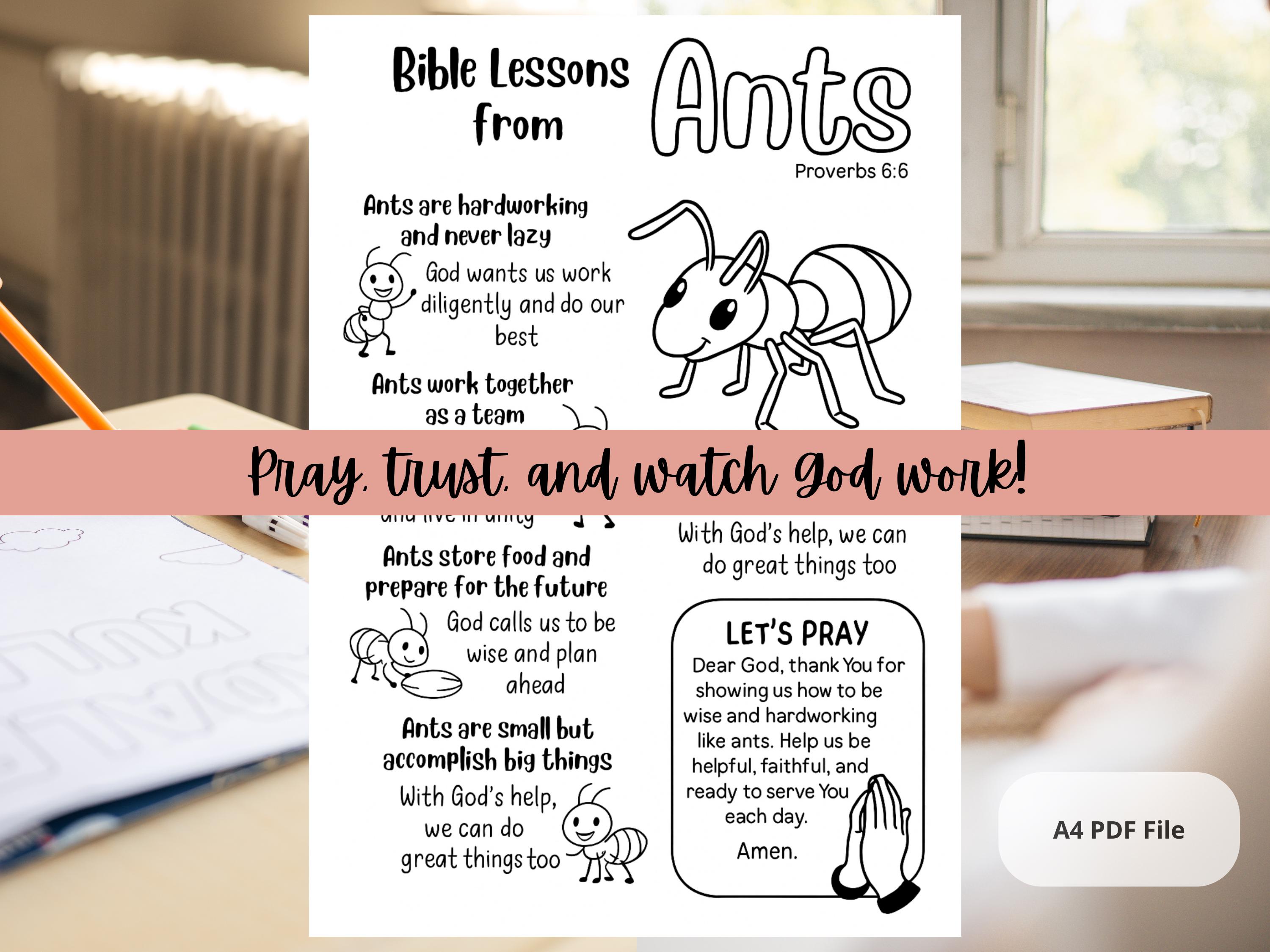 Ants Bible Lessons Activity: Christian Kids Teaching Resource, Sunday ...