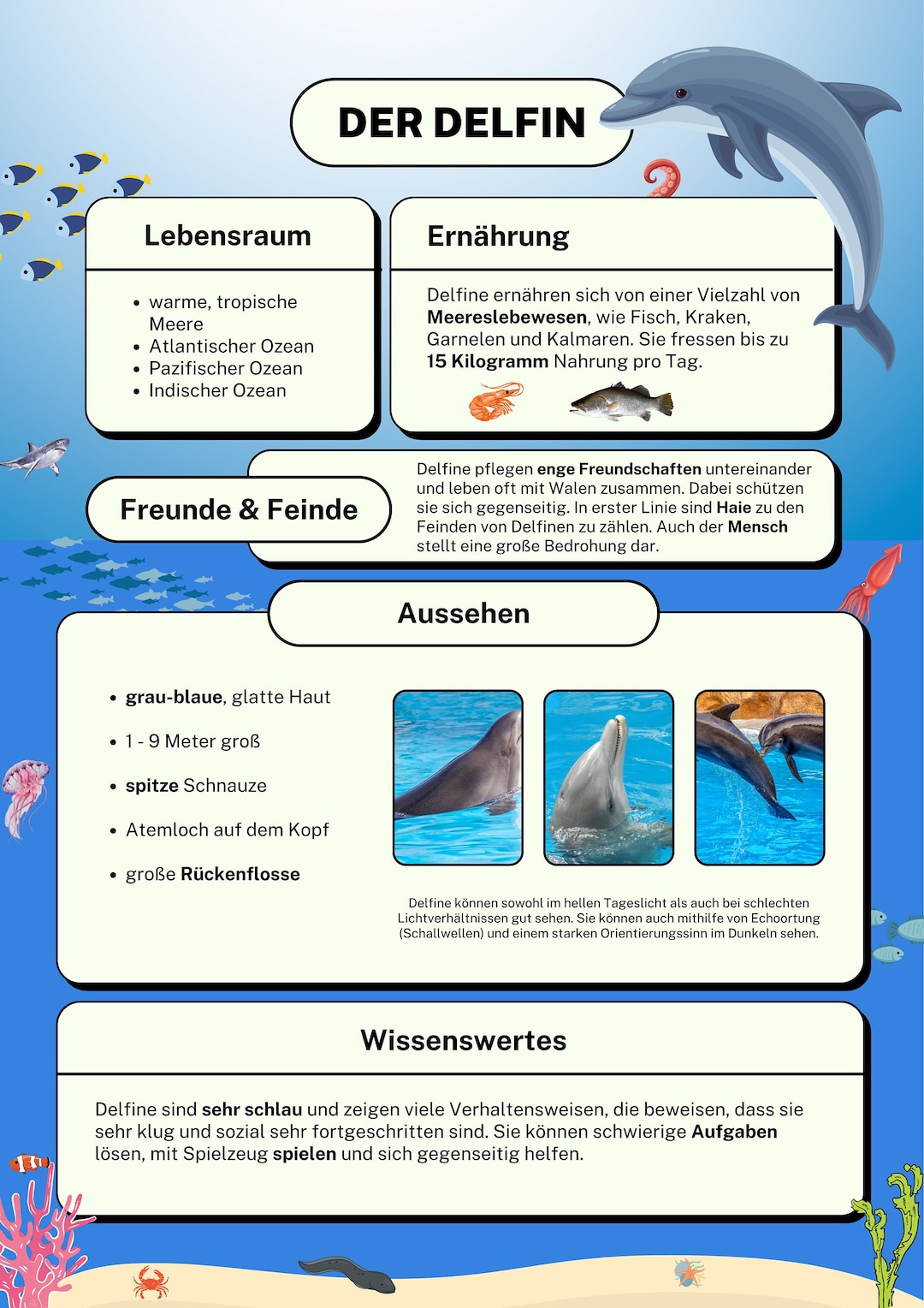 Animal Poster "the Dolphin" for Learning for Children - Poster 04 ...