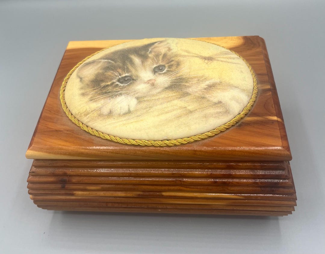 Kitten With Dragonfly Wooden Cedar Hinged Box Cat Jewelry Box - Etsy