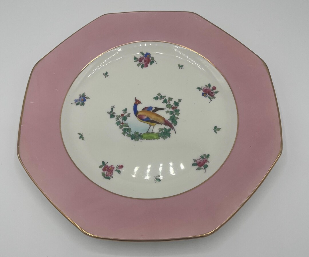 F. Winkle & Co England Set of 6 Old Bow Octagon Phesant Design Salad ...