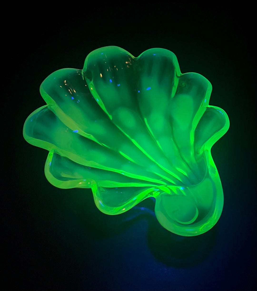 Duncan Miller Vaseline Opalescent Uranium Glass Glowing Shell Dish - Etsy