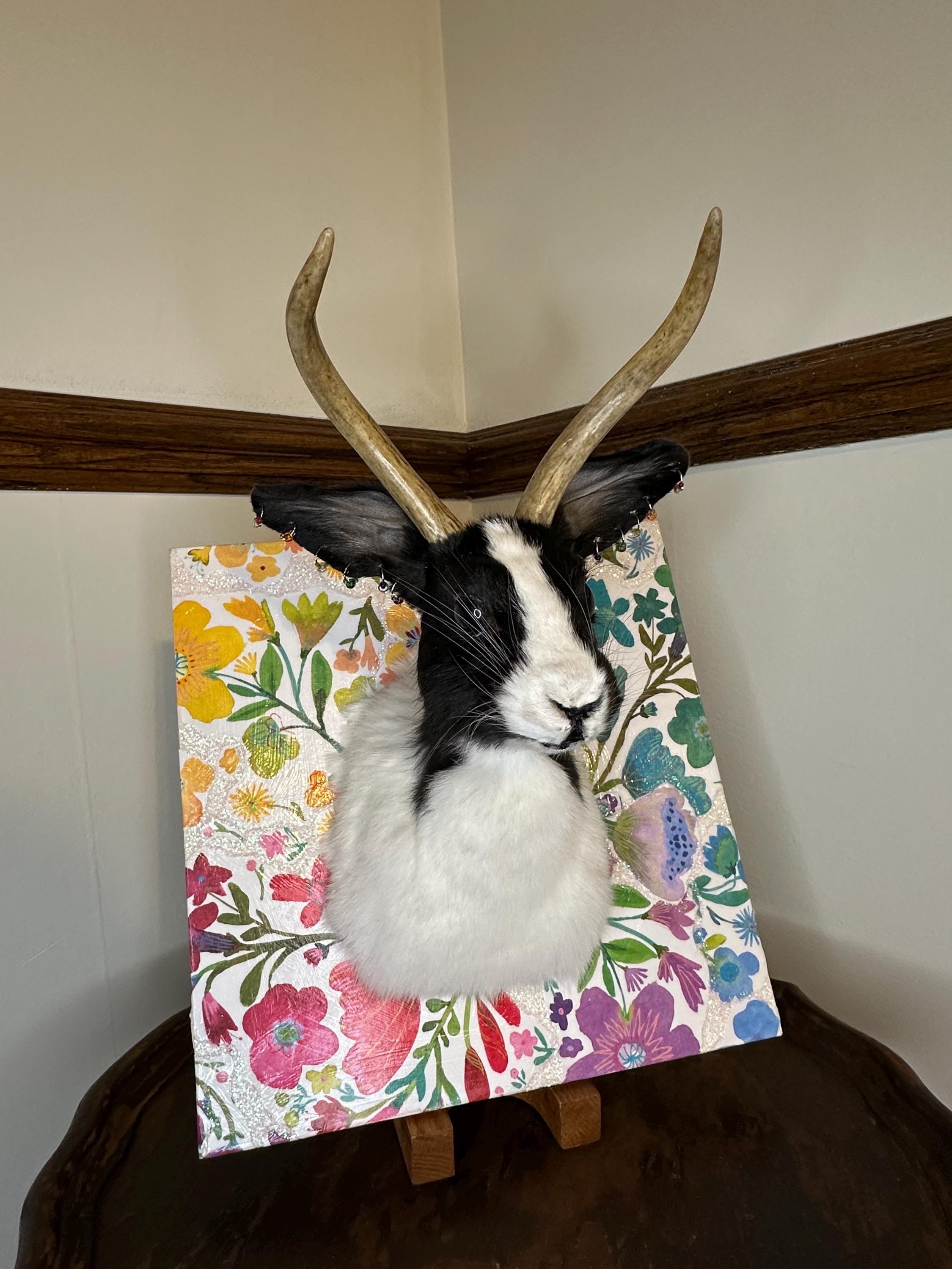 Rainbow Themed Jackalope - Etsy