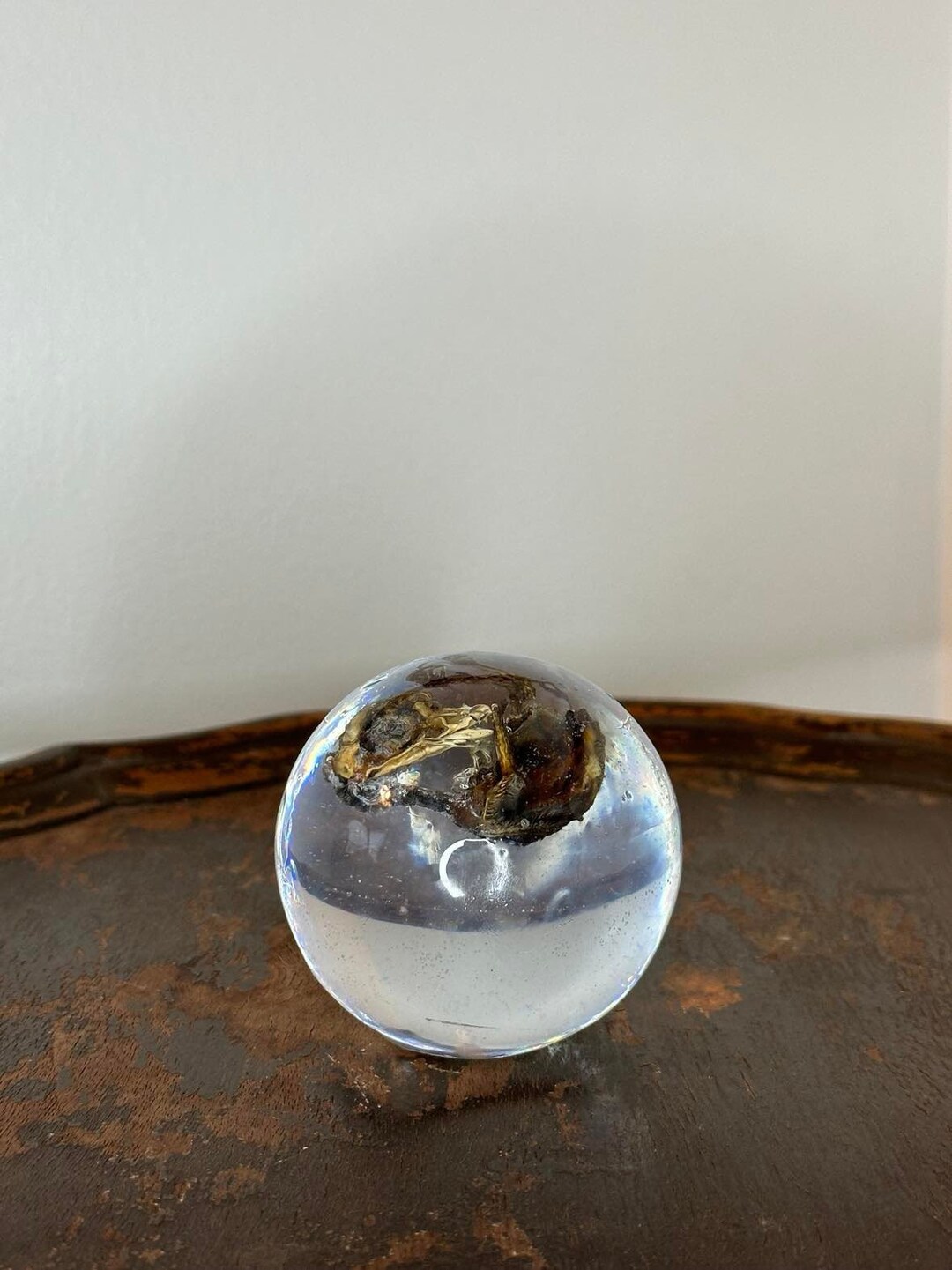 Resin Sphere With Turkey - Etsy