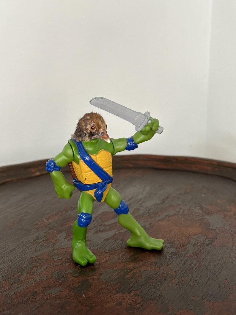 Turkey Headed TMNT - Etsy